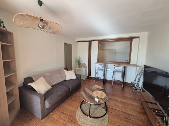 Studio Cosy La Parenthèse Proche Cnpe Pipa - Ambérieu-en-Bugey