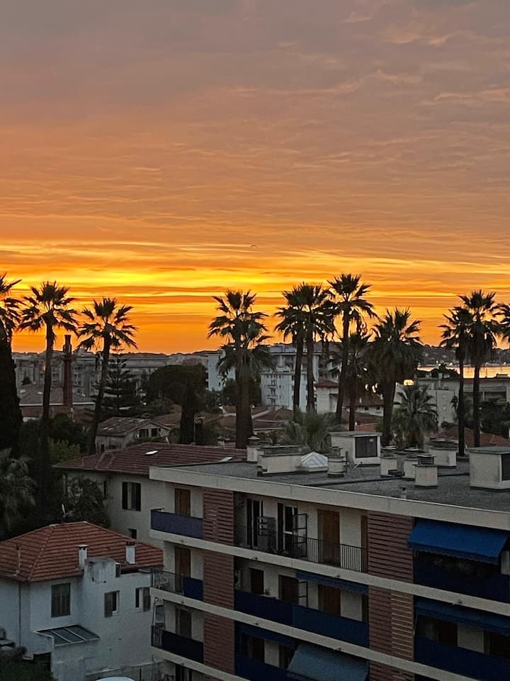 Le Napoléon - Vallauris