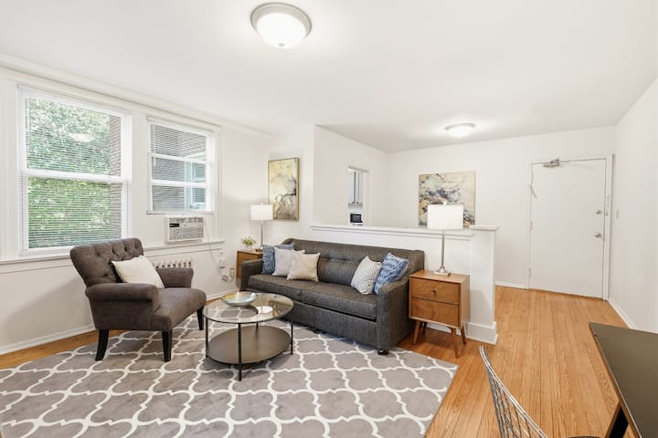 Conveniently Located 1 Bed Apt Across Dc Line! - Silver Spring, MD