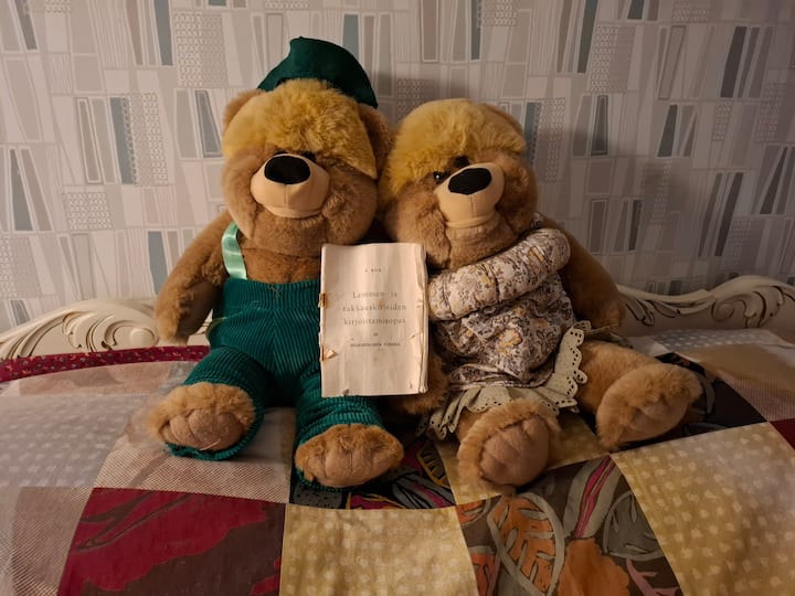 Rintamamiestalon Yläkerran Vintage Huoneisto - Joensuu