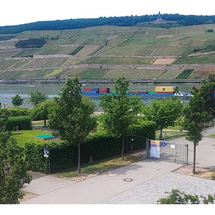 Prime Location, Exclusive, World Heritage Site - Bingen