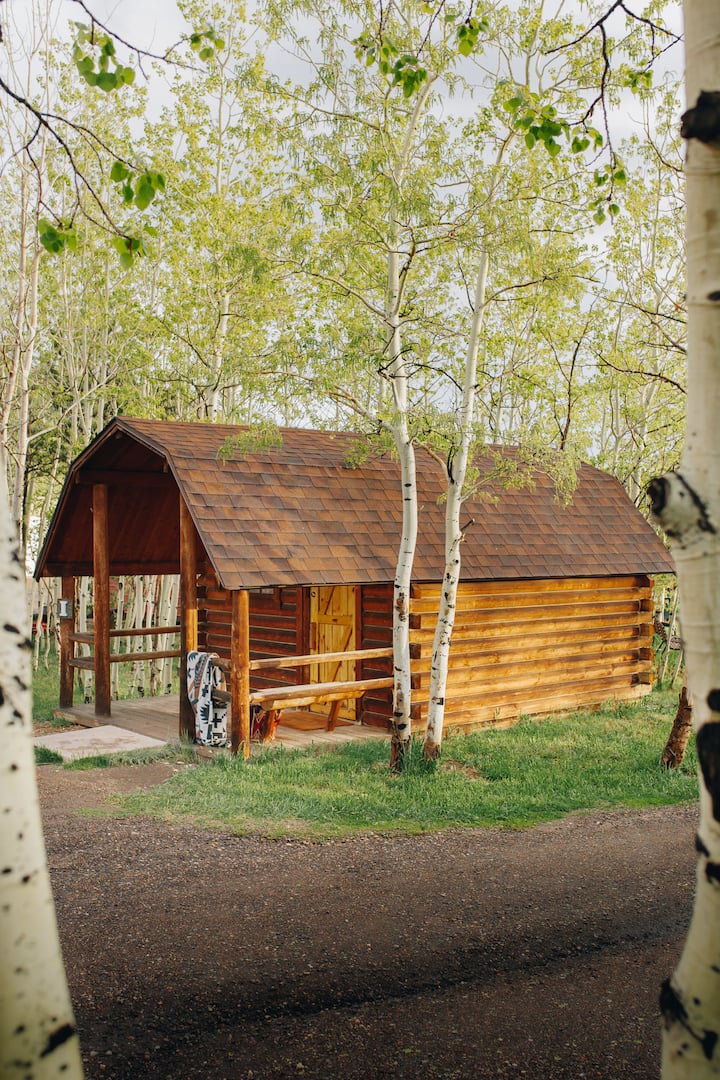 Mountain Retreat - Standard Cabin - Nederland, CO