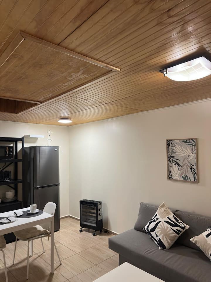 Apartamento Independiente Y Moderno En Chillan - Chillán