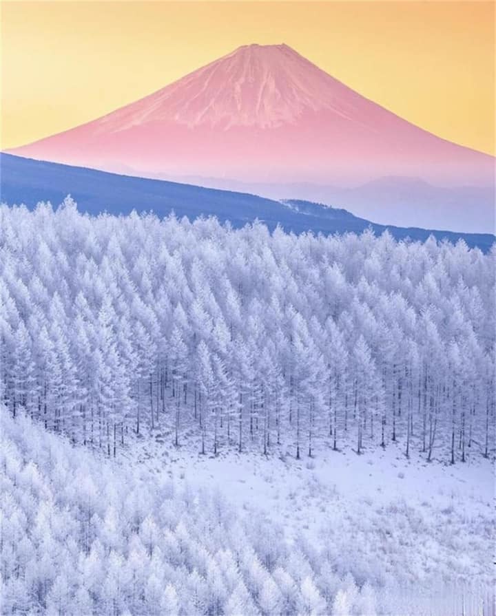 Servicedapartment - Sp12-do Not Remove/do Not Book - Terrassa