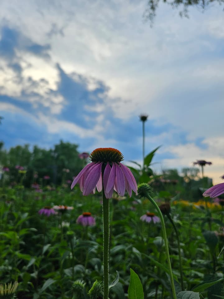 Servicedapartment - Sp13-do Not Remove/do Not Book - Martorell