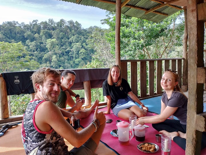 Sumatra Orang Utan Expedition & Trekng With Us - North Sumatra