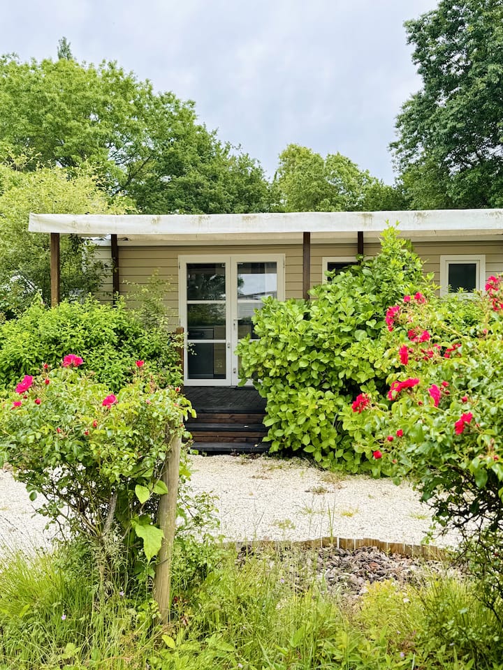 Mobile-home Face Au Lac – Camping 4 éToiles - Mimizan