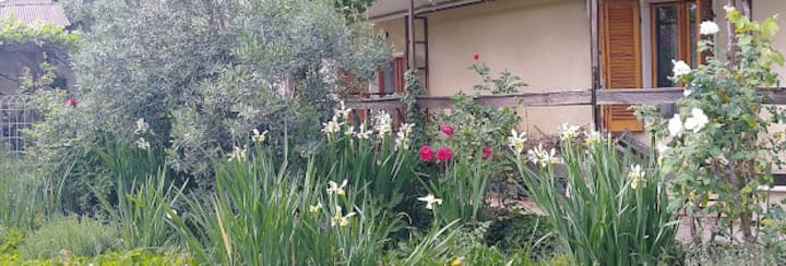 La Casetta Di Zia Rosi - Piscina