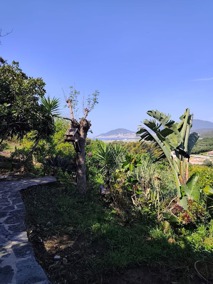 Bas De Villa - Vue Mer - Bastelicaccia