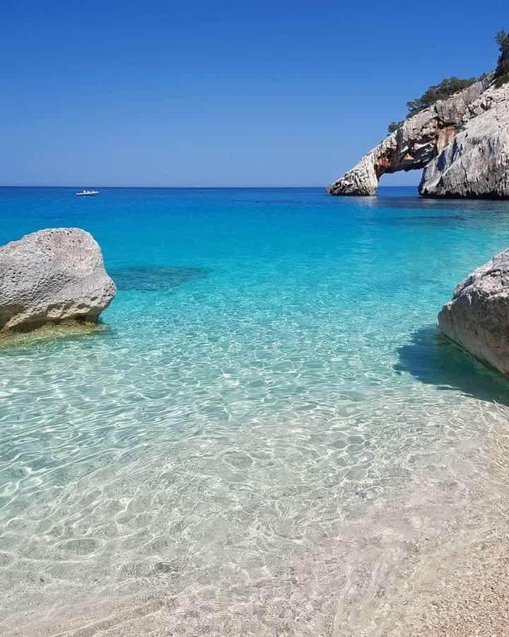 "Modern Family" - Bari Sardo