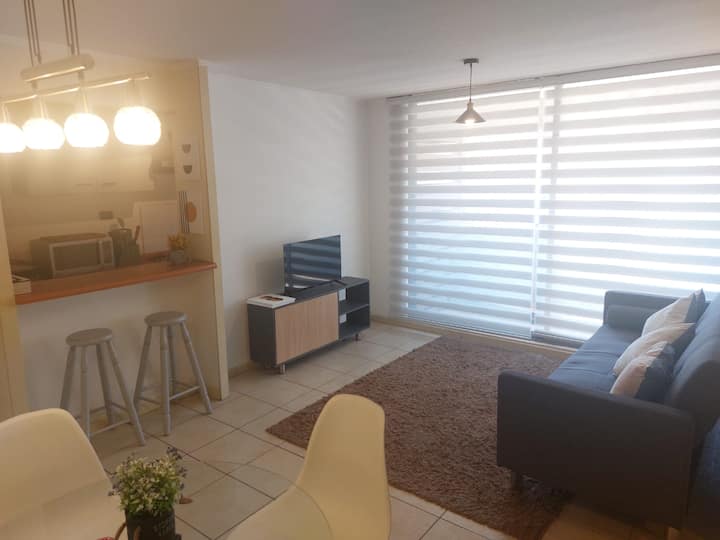 Maravilloso Departamento En Pleno Centro De Curicó - Curicó