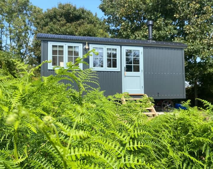 Cwb Cariad, A Truly Luxurious Shepherd's Hut - Cardigan