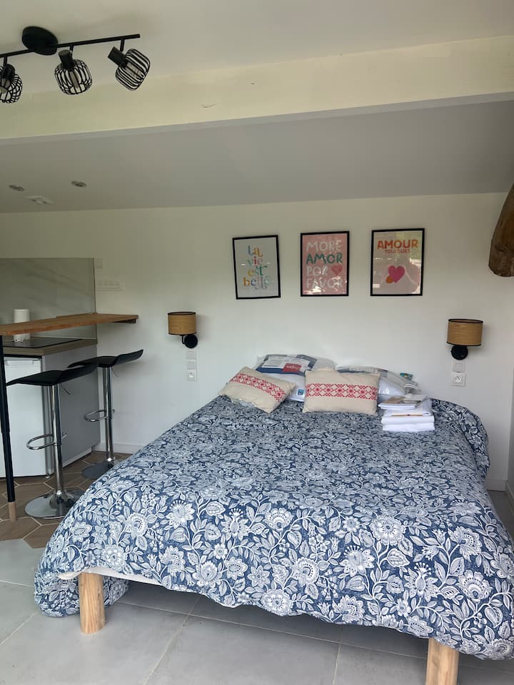Studio 2 Places Avec Sdb Et Cuisine - Bayonne