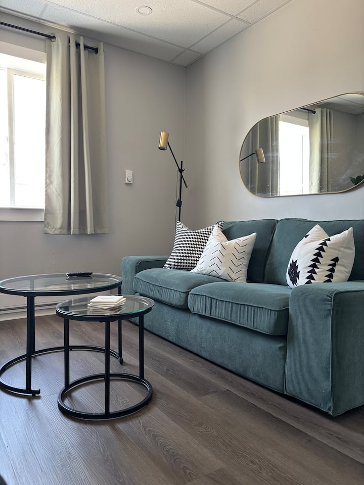Urban Haven, Executive King 2br Suite With Parking - Windsor, ON, Canada