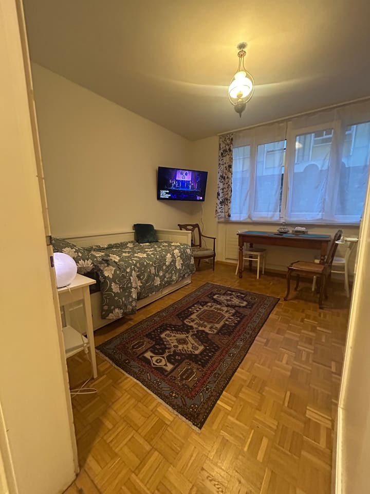 Plainpalais - No Frills 3 - 1 Bedoom Flat - Geneva