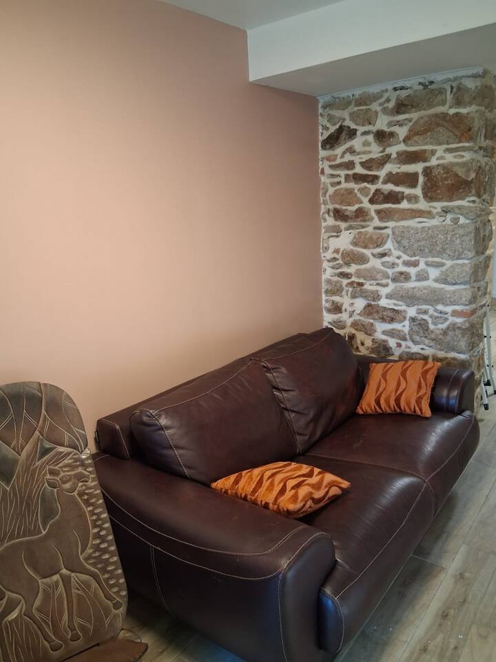 Appartement De Centre-ville Pour 3 à 6 Personnes - La Roche-sur-Yon
