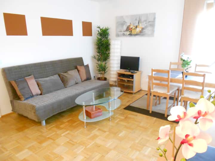 Apartment Hofgartenweg - Regensburg