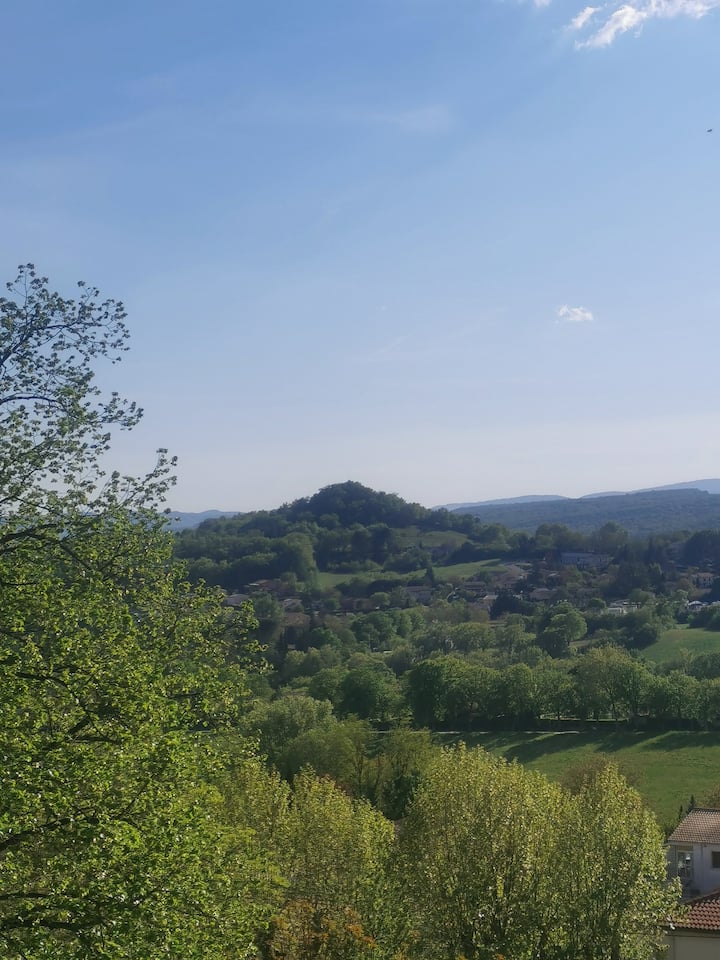 Appartement Vieux Centre-ville Forcalquier - Forcalquier