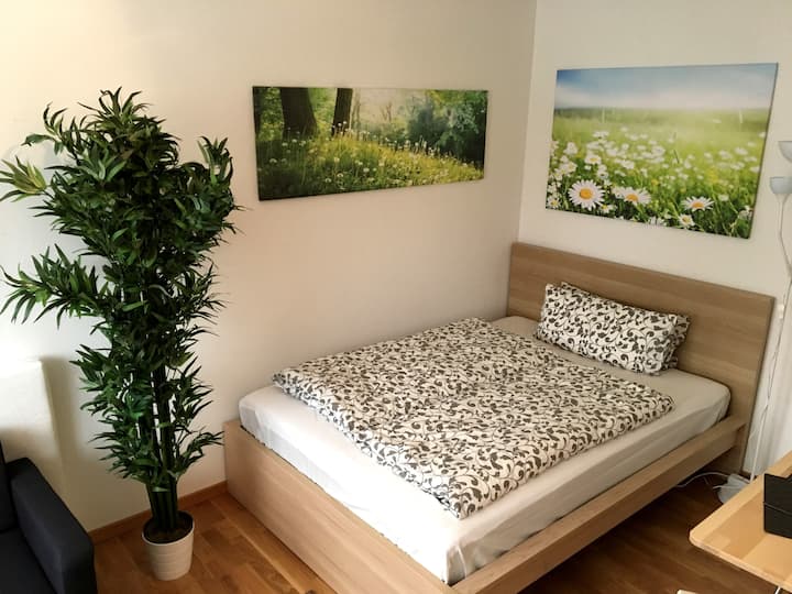 Apartment Blumenpower - Regensburg