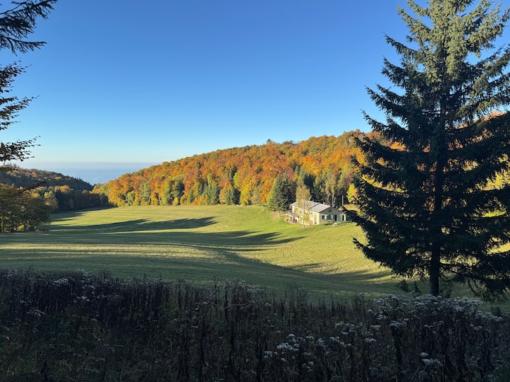 Maison Au Cœur Du Vercors, Nature Et Déconnexion - Pont-en-Royans