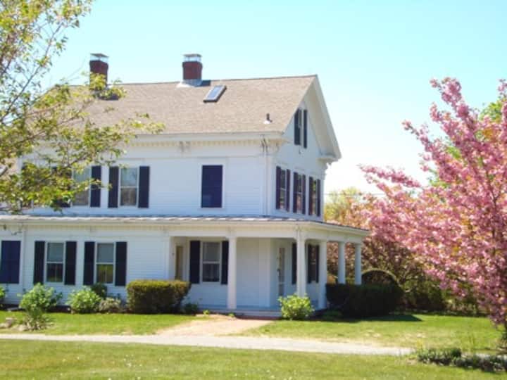 Spacious Sea Captain's House With Pool - South Yarmouth, MA