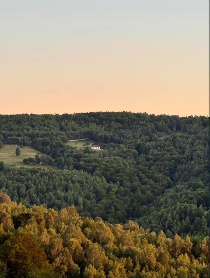 Casă Izolată îN Inima Pădurii, Fără Vecini. - Sălaj