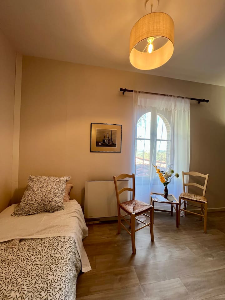 Chambre Du Levant Avec 2 Lits Simples - Auch