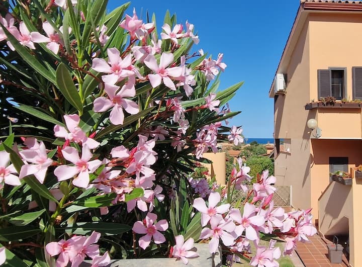 Su Bisu - Sea View, 500m From The Beach - Costa Rei