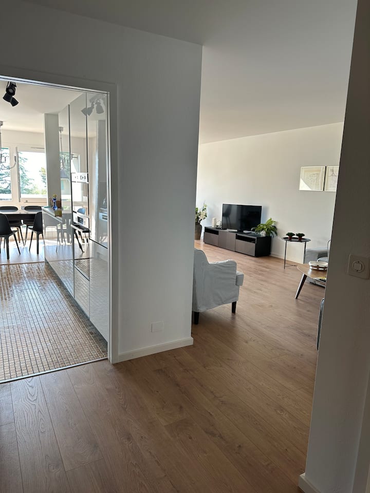 Bellevue Appartement Avec Balcon Et Garage - Lausanne