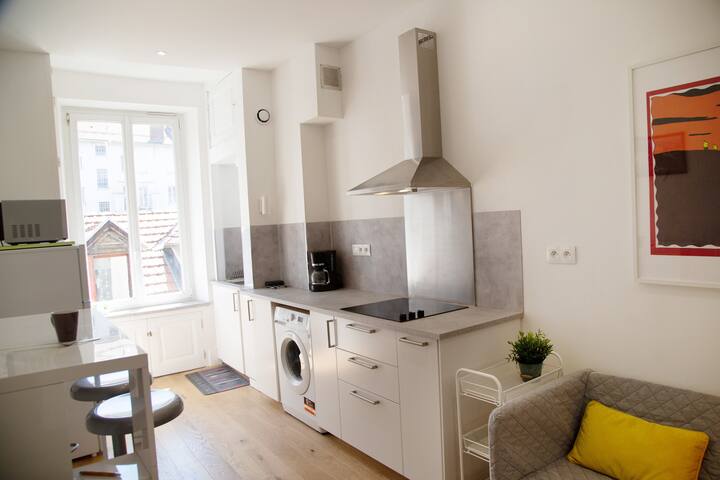 Appartement Grenoble Proche Centre, Rue Calme - Grenoble