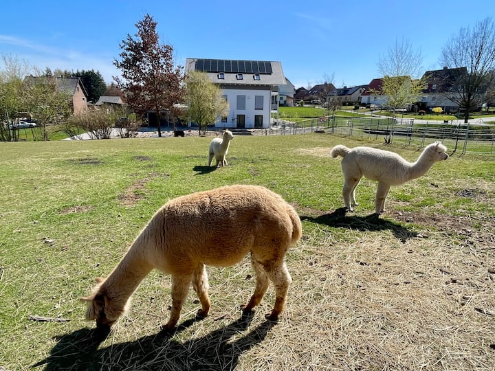 Alpakahof: Familienbett, Spielgarten & Tiere - Bad Gandersheim