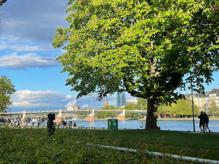 市中心豪华三室公寓带早餐小花园 - Frankfurt