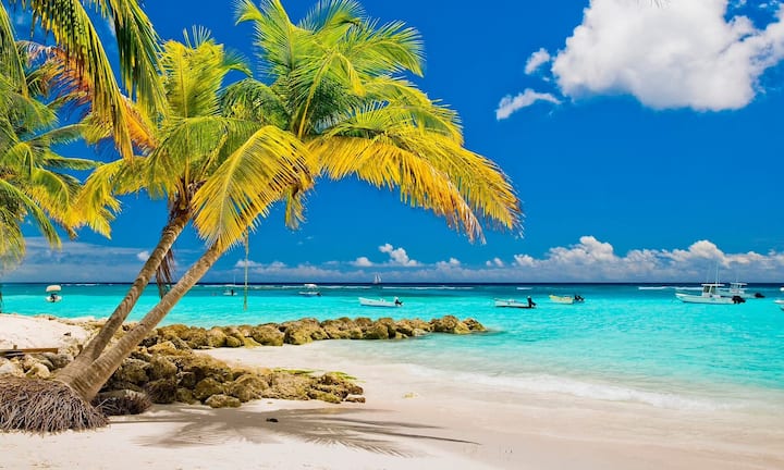 Modern Coastal Escape | Comfort Near The Beach - Barbados