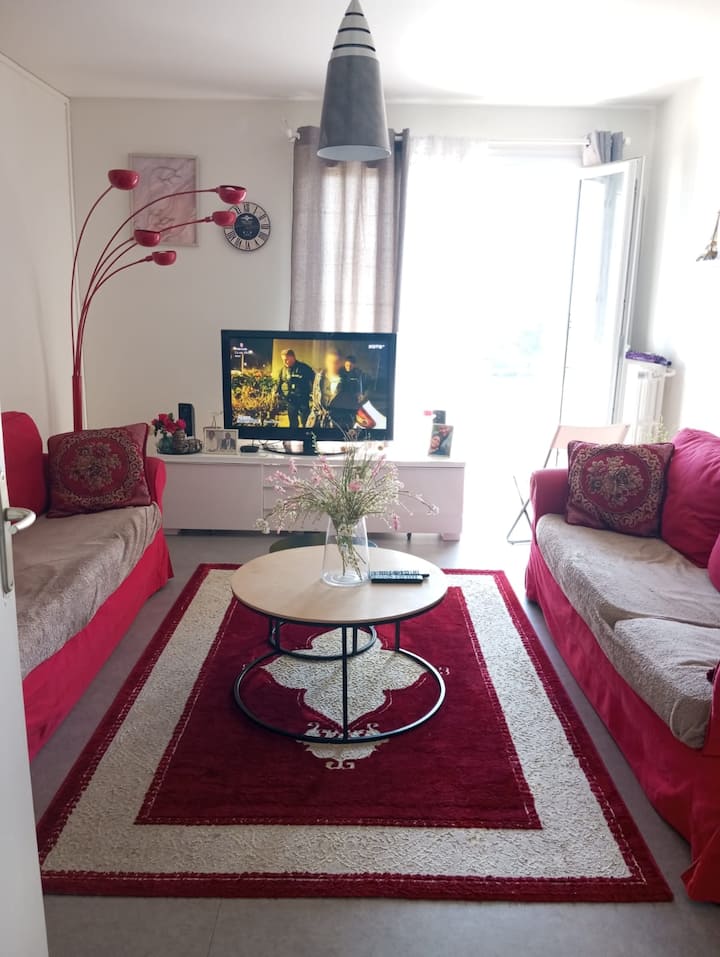 Bel Appartement Chambres Meublé Lumineux Et Calme. - Tours