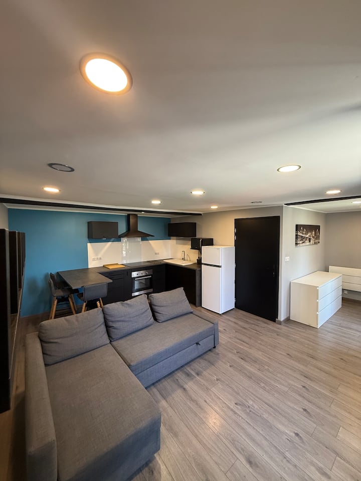 Apparemment· Balcon•vue Mont Ventoux•lavandes - Sault