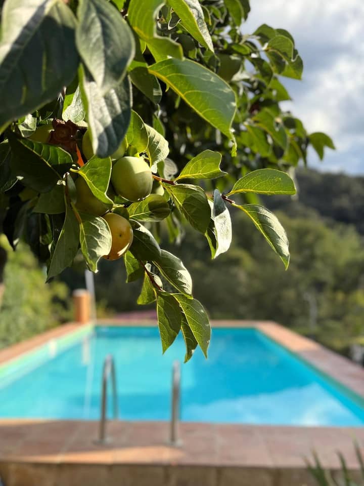 Casa Rural Orilla Del Hueznar - Cazalla de la Sierra