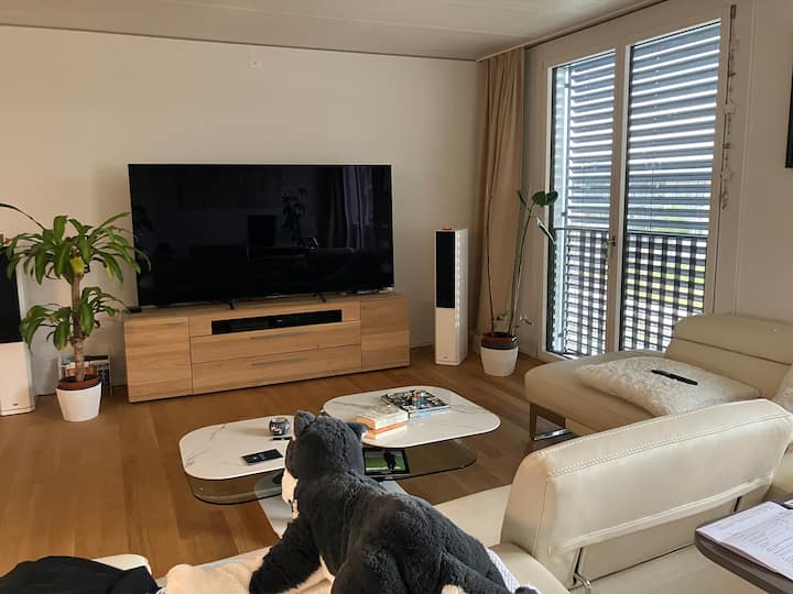 Moderne, Stilvoll Möblierte 2.5-zimmer-wohnung - Winterthur