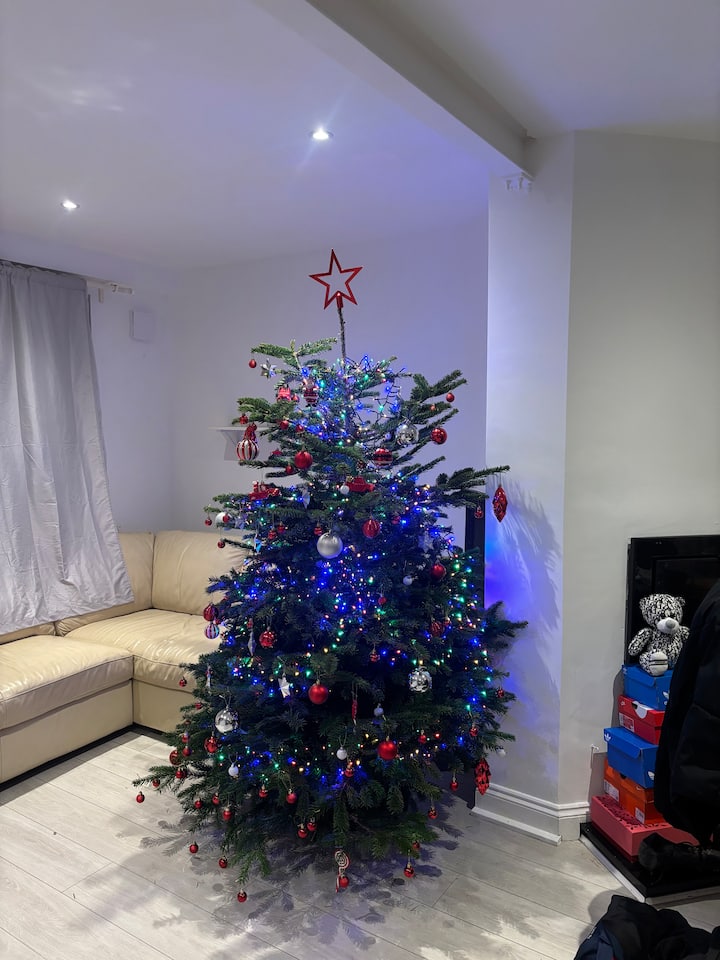 Full Cozy 2 Bedroom House. Perfect Location - Dublin