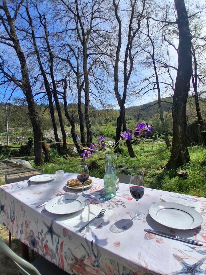 Driade, Among The Oaks - Lerici