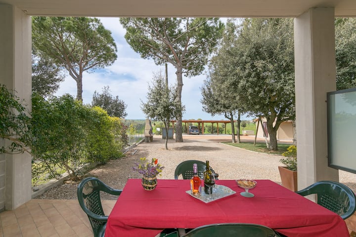 Agriturismo I Debbi - L'olivo - Castagneto Carducci