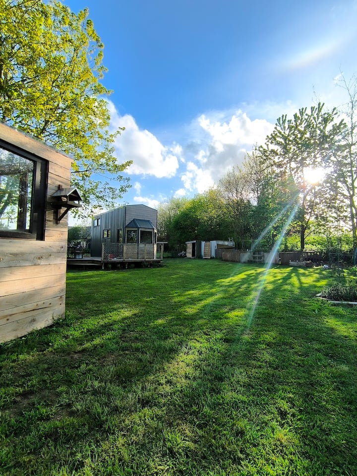 Tiny House & Jacuzzi Sous Les éToiles • Ty Rounard - Côtes-d'Armor