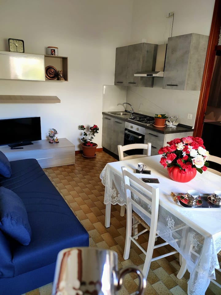 Appartamento Piano Terra - Bellaria-Igea Marina