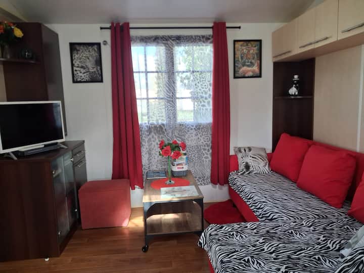 Mobil Home Spacieux 4/6 Pers Climatisé Lave-linge - Onzain