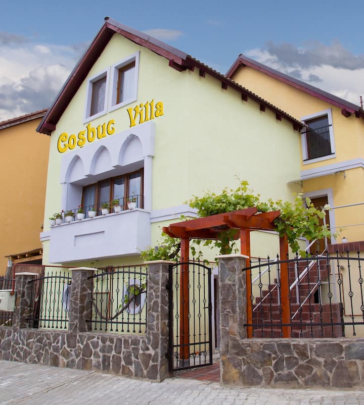 Vilă Premium Cu Vedere La Cetate, Curte 2000mp - Sighișoara