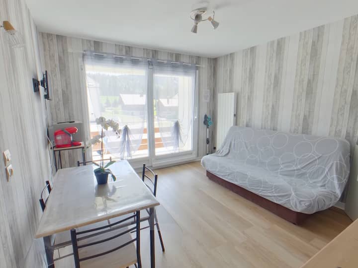 Charmant Appartement Avec Wifi - 4 Pers. - Prémanon