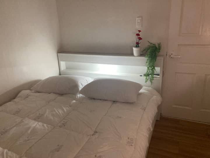 스테이올리브 Stayorleave - Seoul