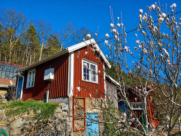 Enkel  Och Naturnära Stuga På Bergssluttning - Trollhättan