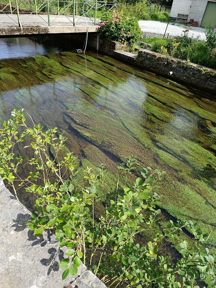 Villa  En Pleine Vallée  Au Cœur De La Nature - Couvin
