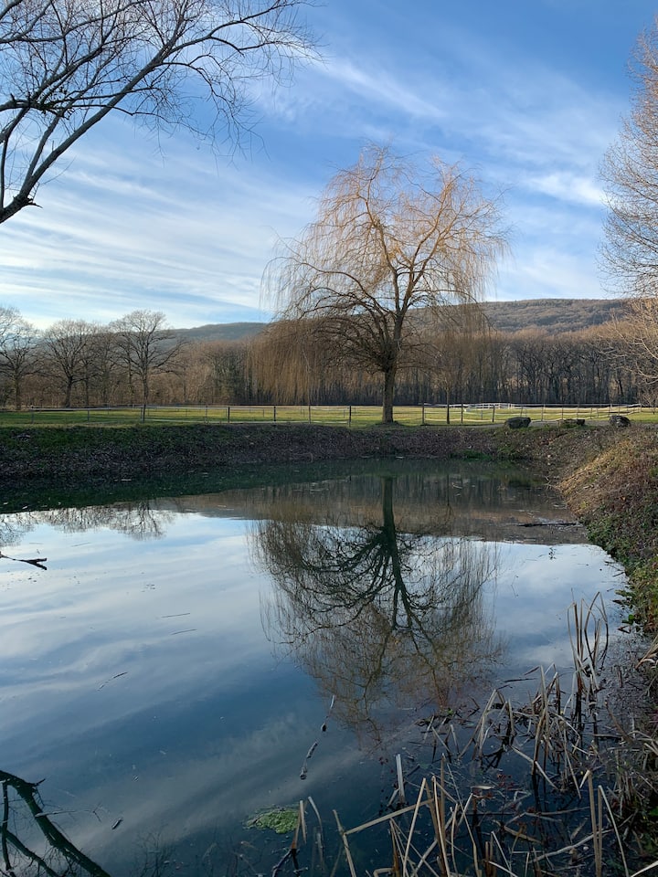 Expérience Au Haras - Divonne-les-Bains