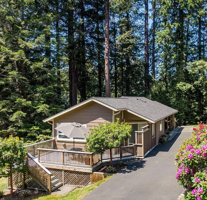 Arcata’s Premier View: Stylish & Centrally Located - Arcata, CA